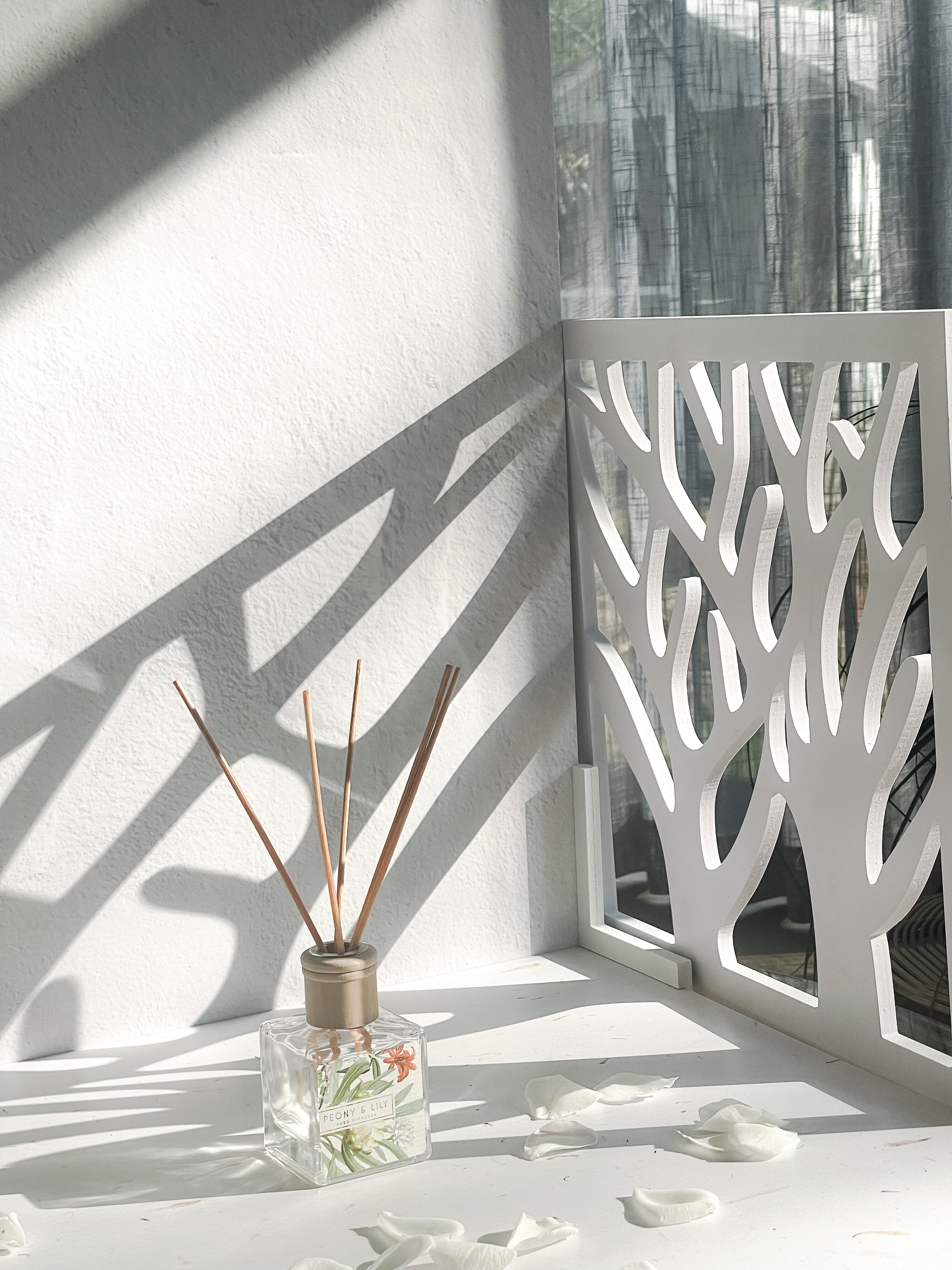 Window Shadow Makers – FlatlayStudio