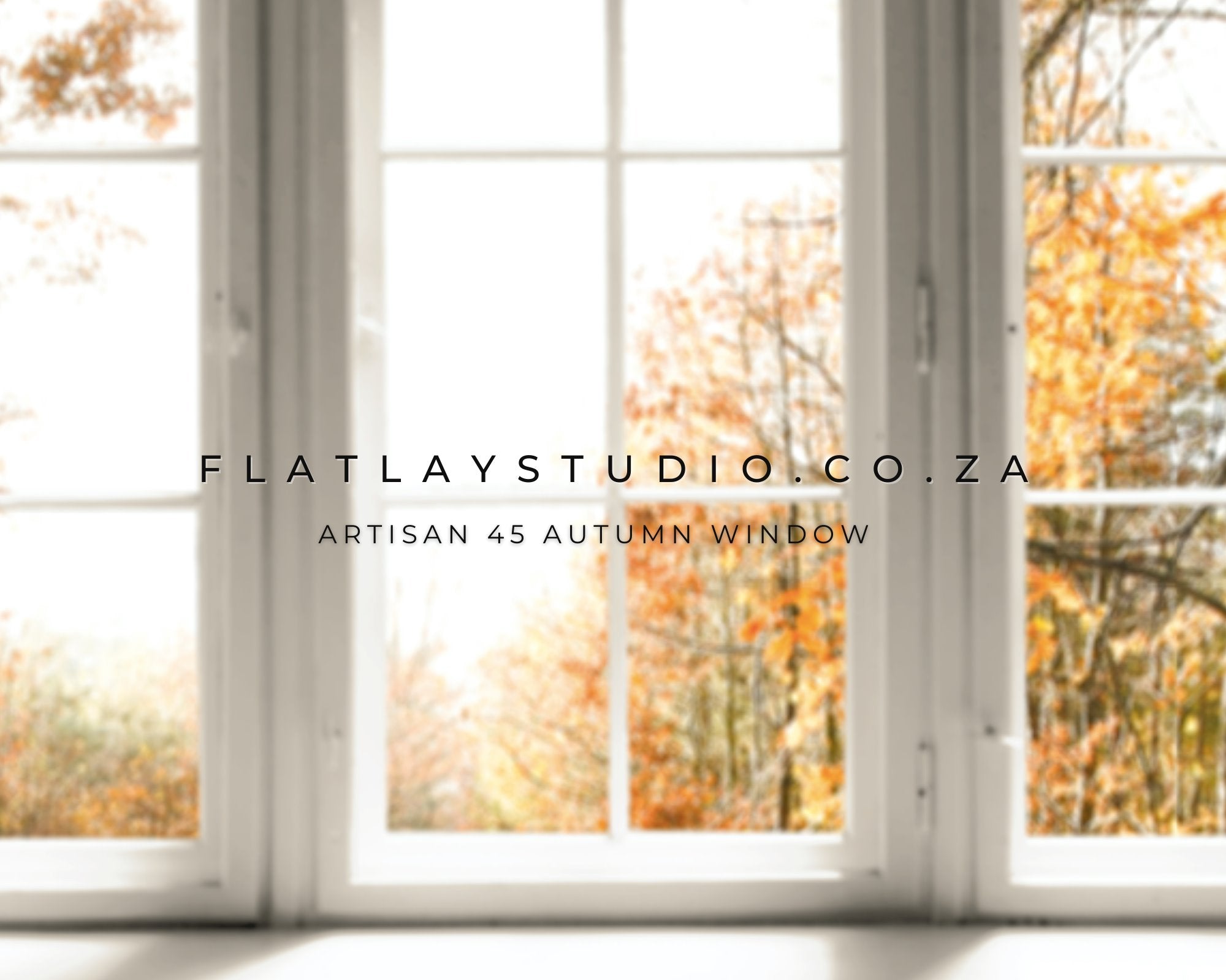 Artisan 45 Autumn Window – FlatlayStudio
